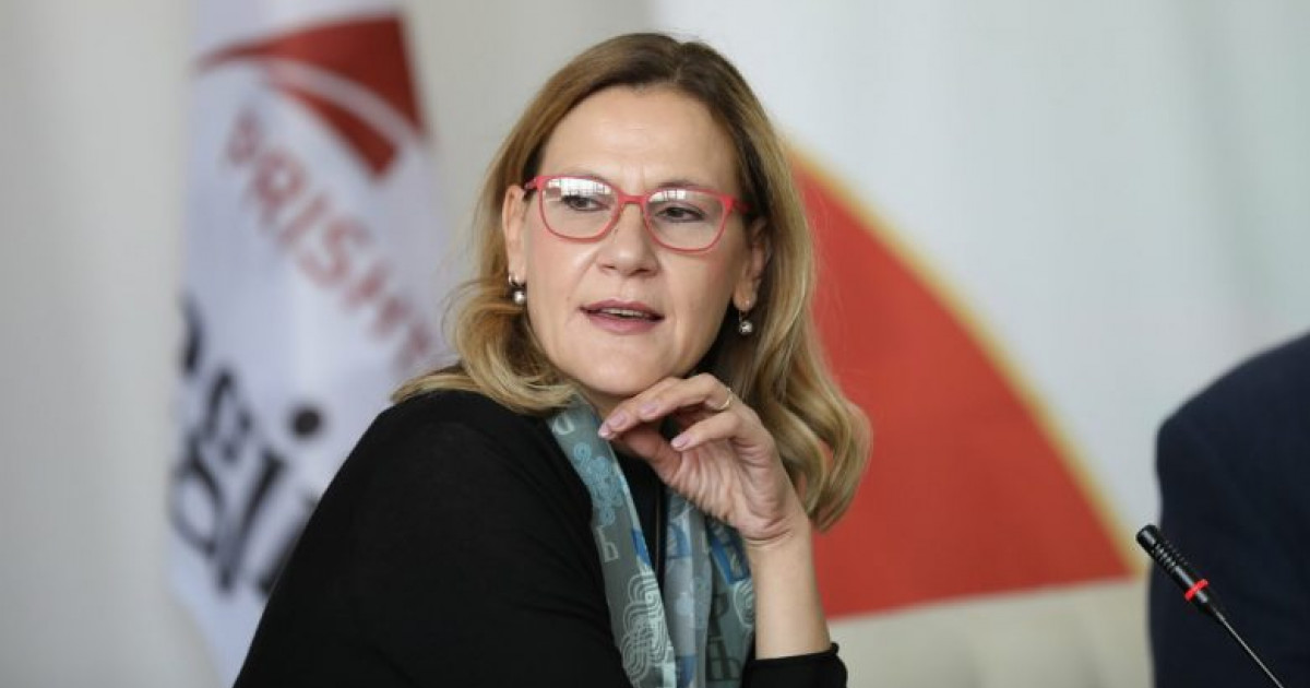 Ambasadorka Hrvatske u Prištini: Stabilnost zavisi od dijaloga, a ne od konfrontacije - Kosovo ...